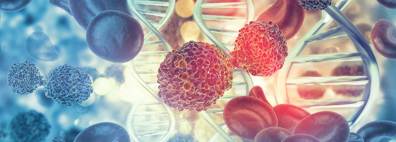 Zellen: Grundlage des Lebens und ihre Verbindung zu Spermidin